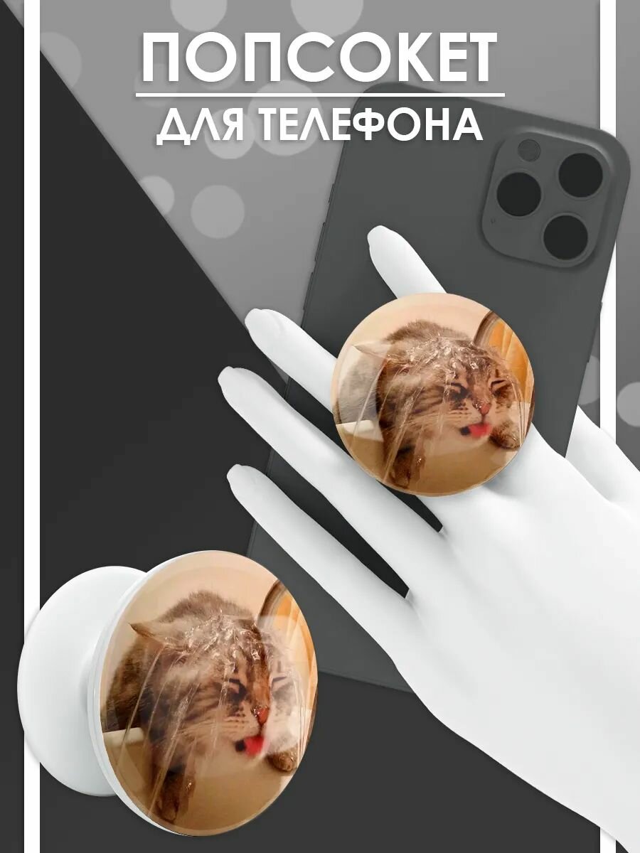 Попсокет Мемный котик, держатель для телефона