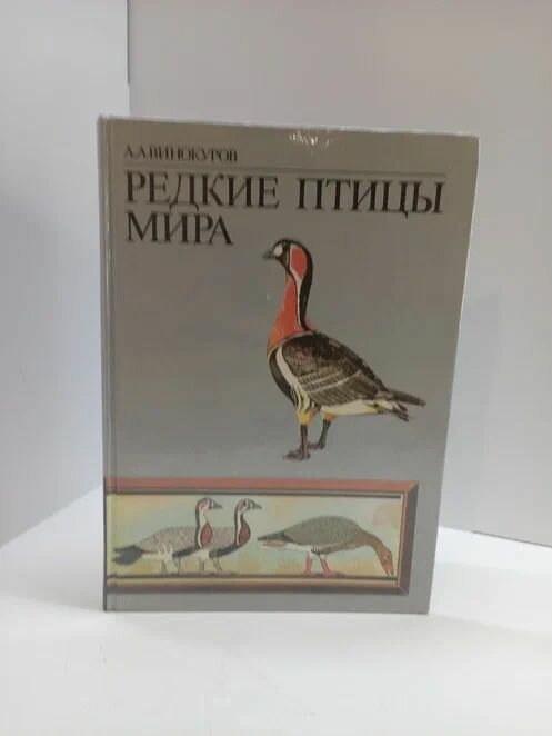 Редкие птицы мира