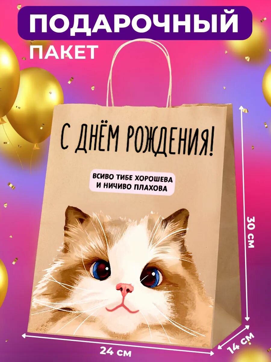 Пакет подарочный, подарочный пакет с днем рождения