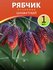 Рябчик Шахматный