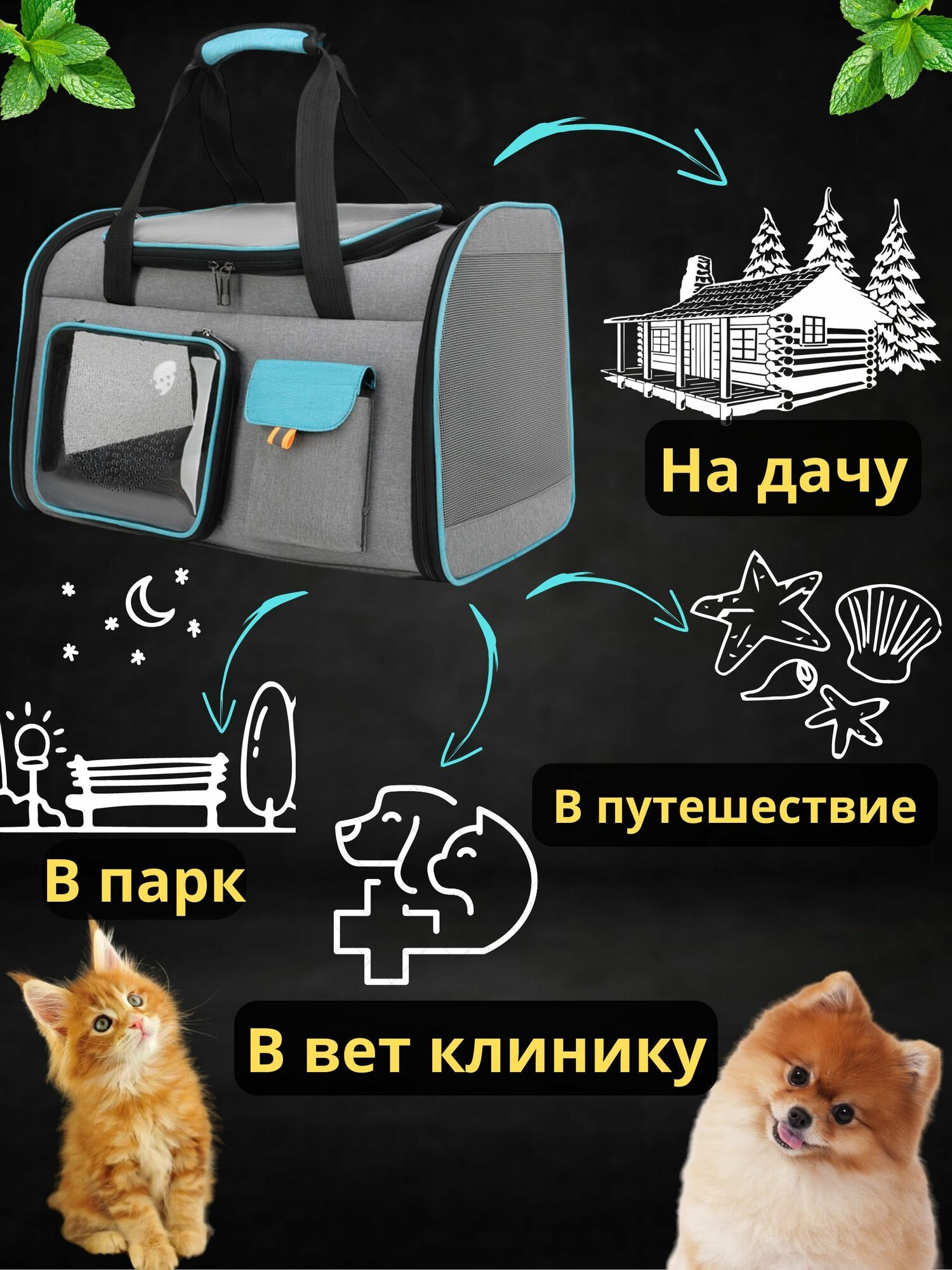 Переноска — фото 1