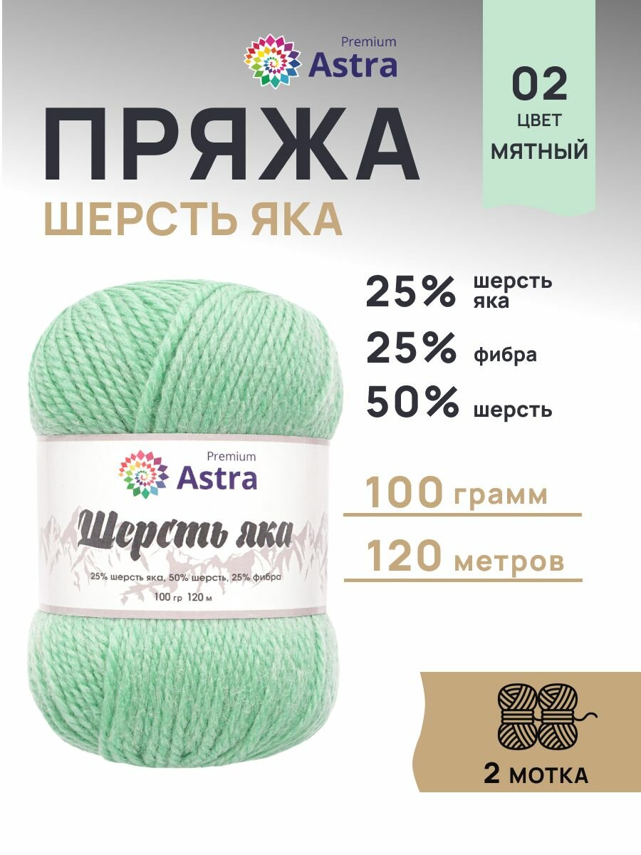 Пряжа для вязания Astra Premium 'Шерсть яка' 100г, 120м (шерсть яка, шерсть, фибра) (02 мятный), 2 мотка