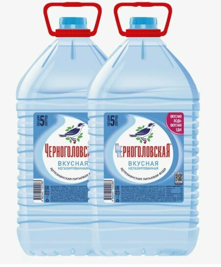 Вода питьевая Черноголовская 5л негазированная (упаковка 2 шт.)