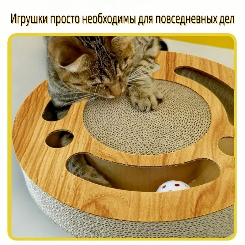 Когтеточка — фото 1