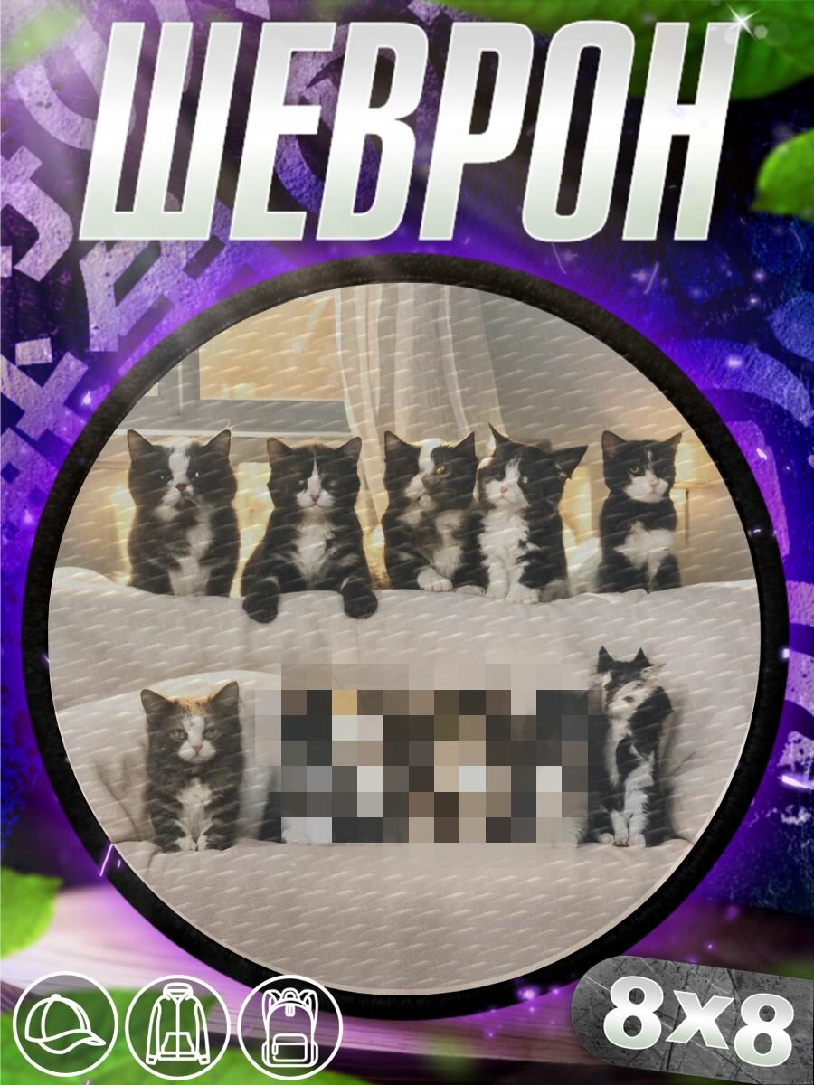 Шеврон на липучке нашивка на одежду / мемы котики Идите нафиг