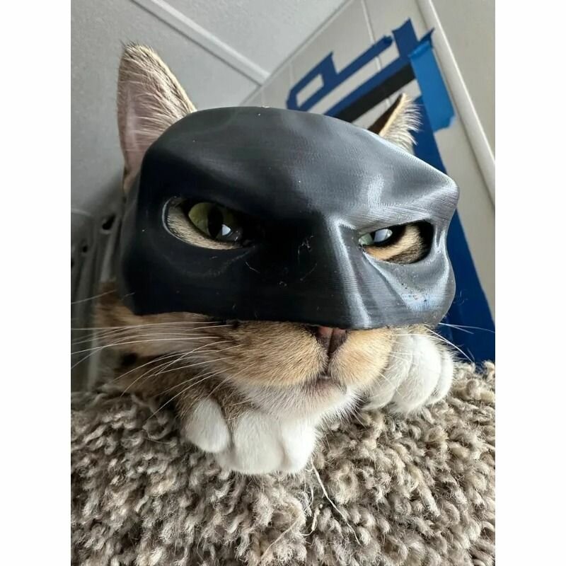Маска для кота "бэтмен"