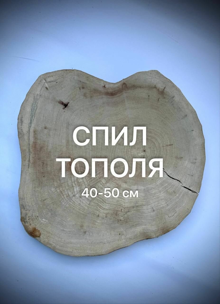 Спил Тополя, диаметр 45-50 см, 1шт