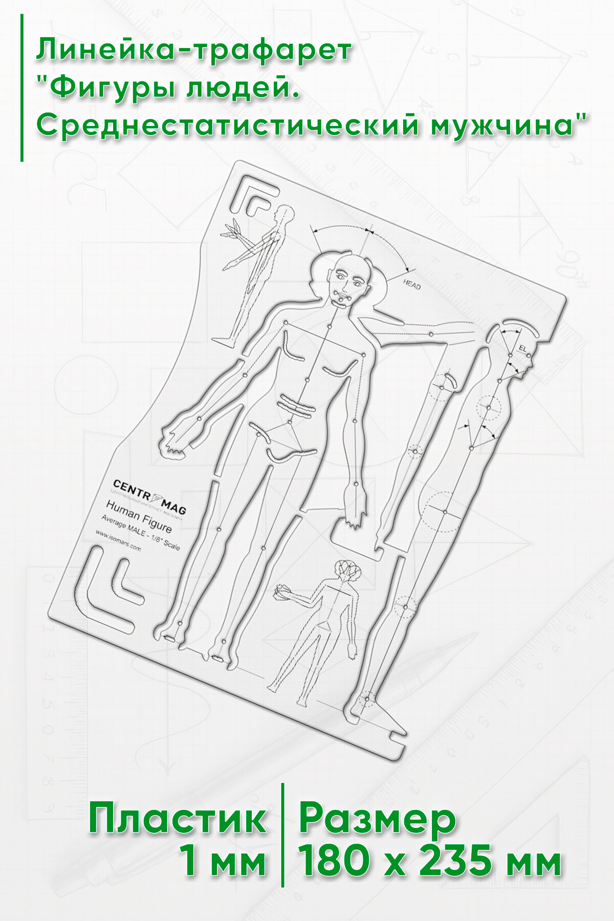 Линейка-трафарет "Фигуры людей. Среднестатистический мужчина."