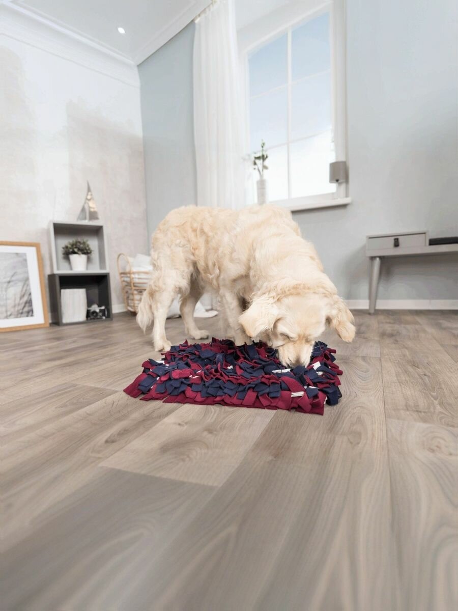 Trixie развивающий коврик для игр с собакой 50х34см