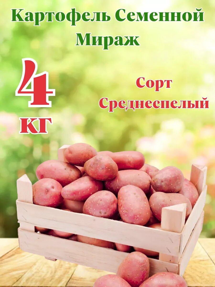 Картофель Семенной Мираж 4кг