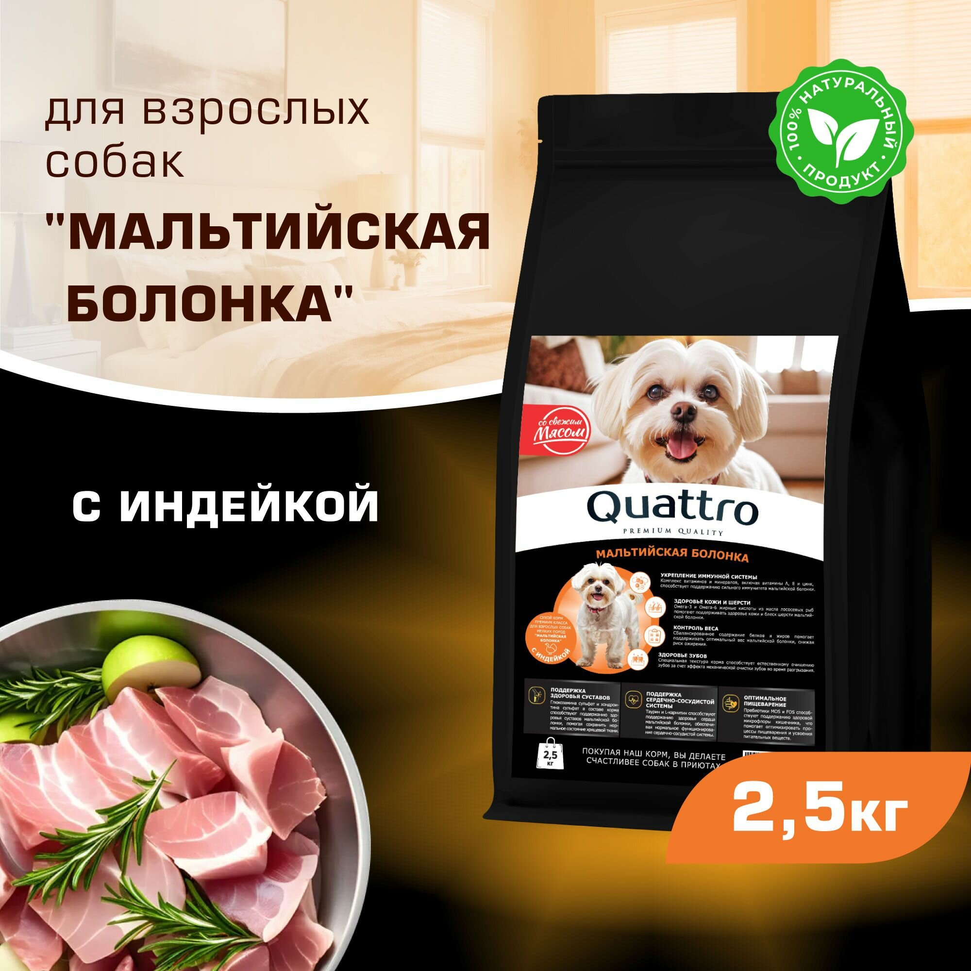 Quattro корм для взрослых собак породы Мальтийская болонка, с индейкой 2,5 кг