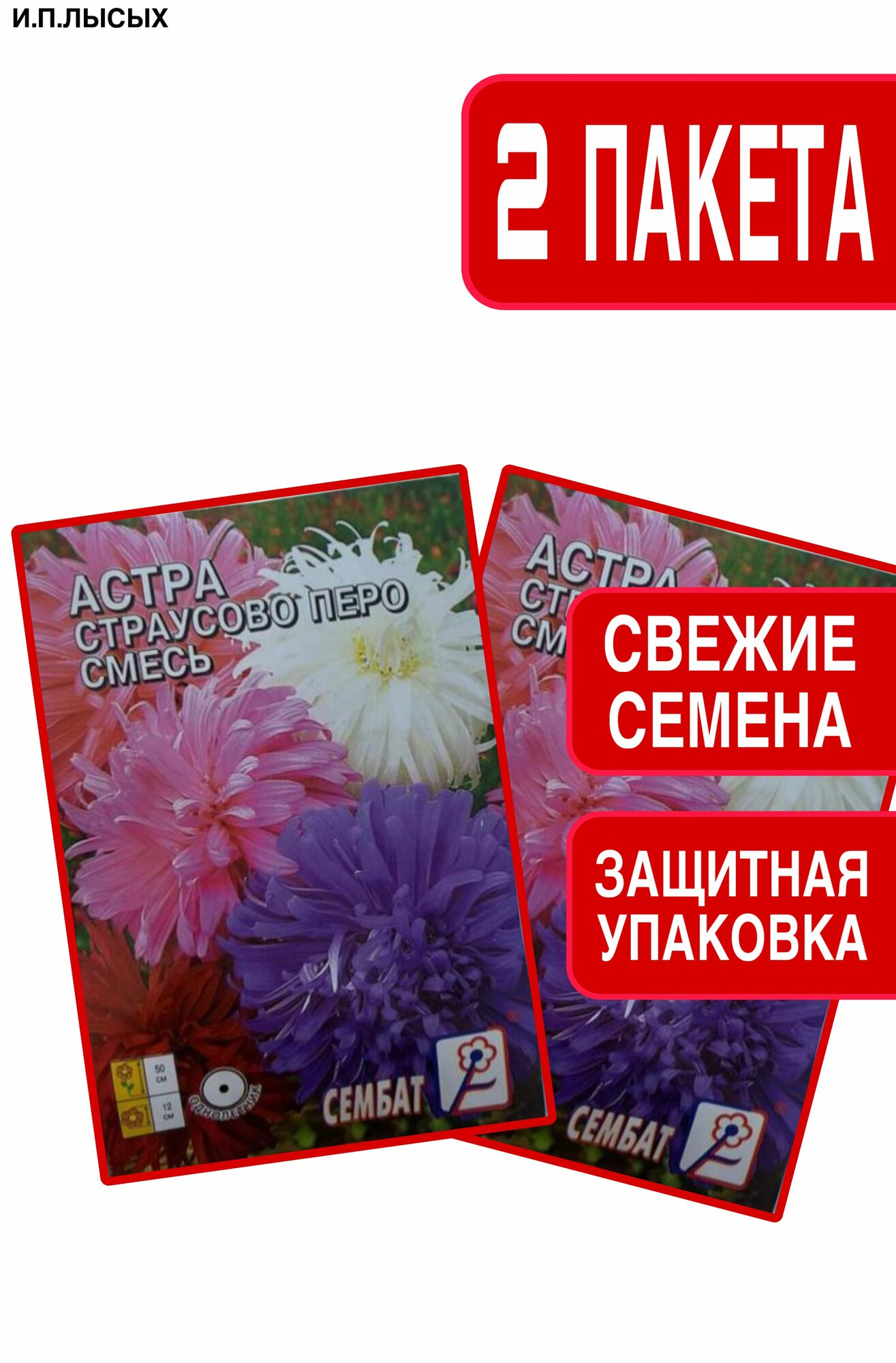 Семена Астра "Страусово перо смесь"