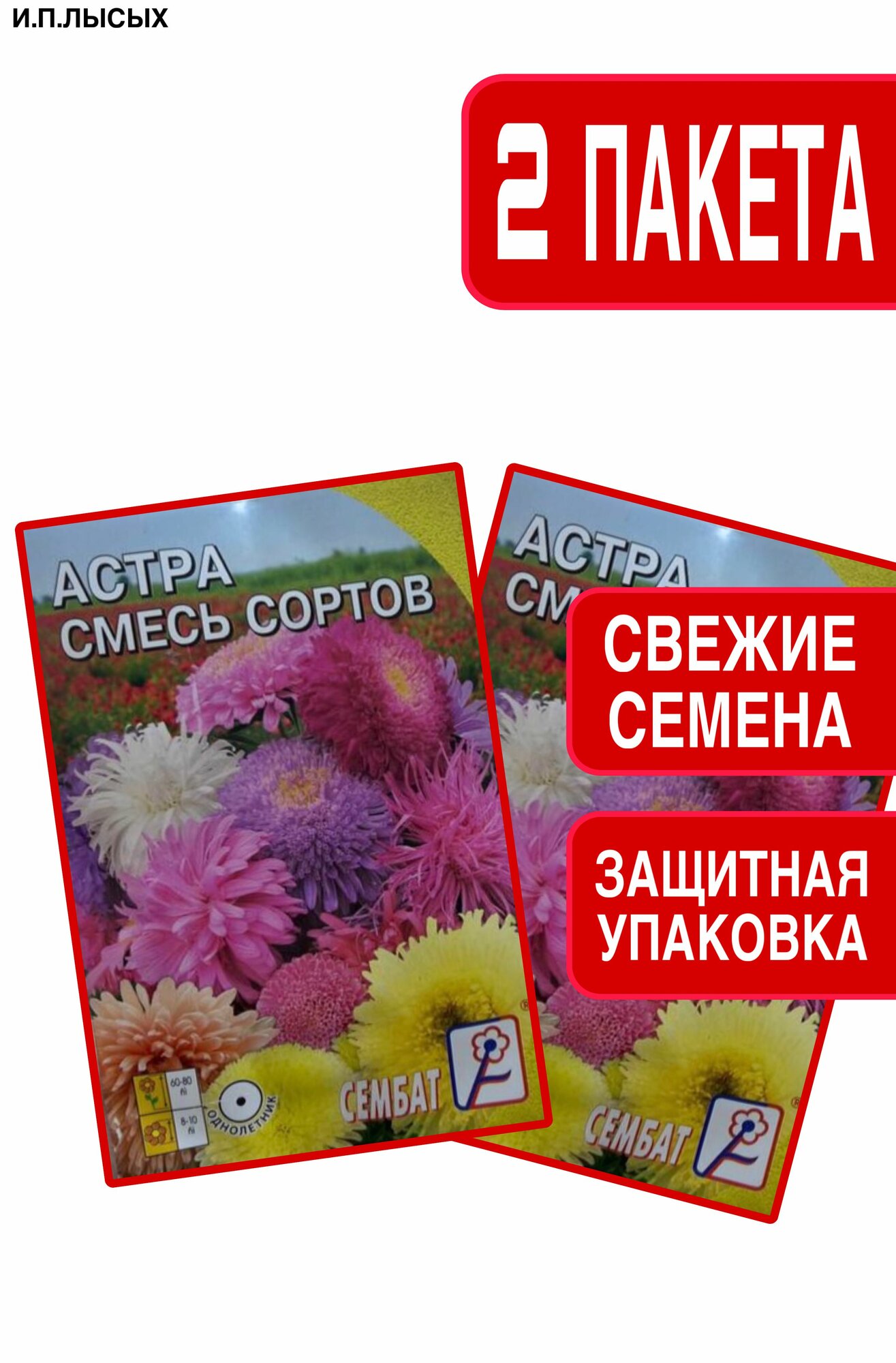 Семена Астра смесь сортов