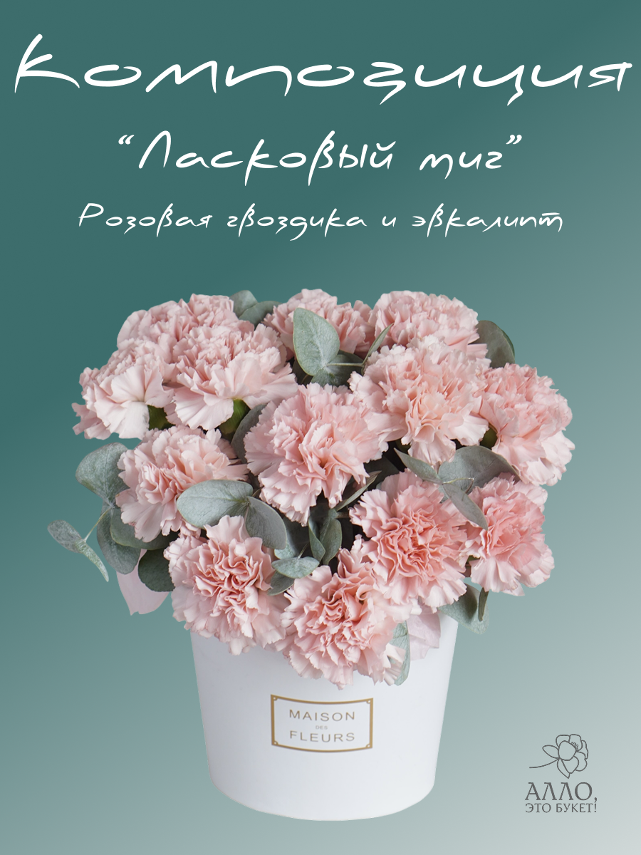 Композиция "Ласковый миг" моно из розовых гвоздик и эвкалипта в коробке