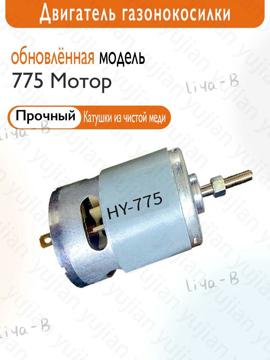 775 -21 V двигатель постоянного тока/Литий ионная электрическая газонокосилка арматураRS775 -21 V двигатель постоянного тока/Литий ионная электрическая газонокосилка арматура