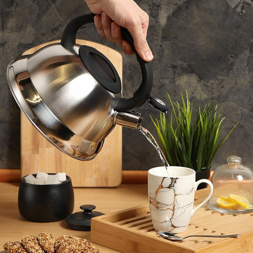 Чайник DANIKS из нержавеющей стали, 2,8 л, со свистком, матовый, с ручкой с силиконовым покрытием