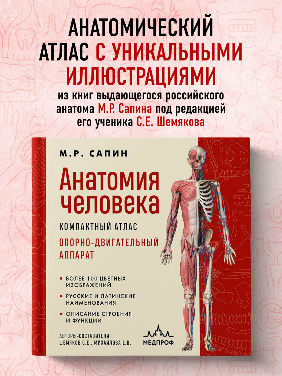 Сапин М. Р. Анатомия человека. Компактный атлас. Опорно-двигательный аппарат