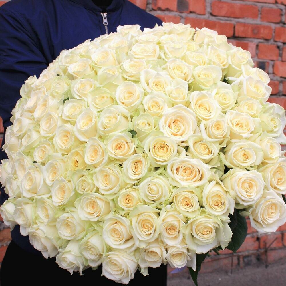 Букет 101 белая роза, шикарный букет, премиум букет, премиум цветы