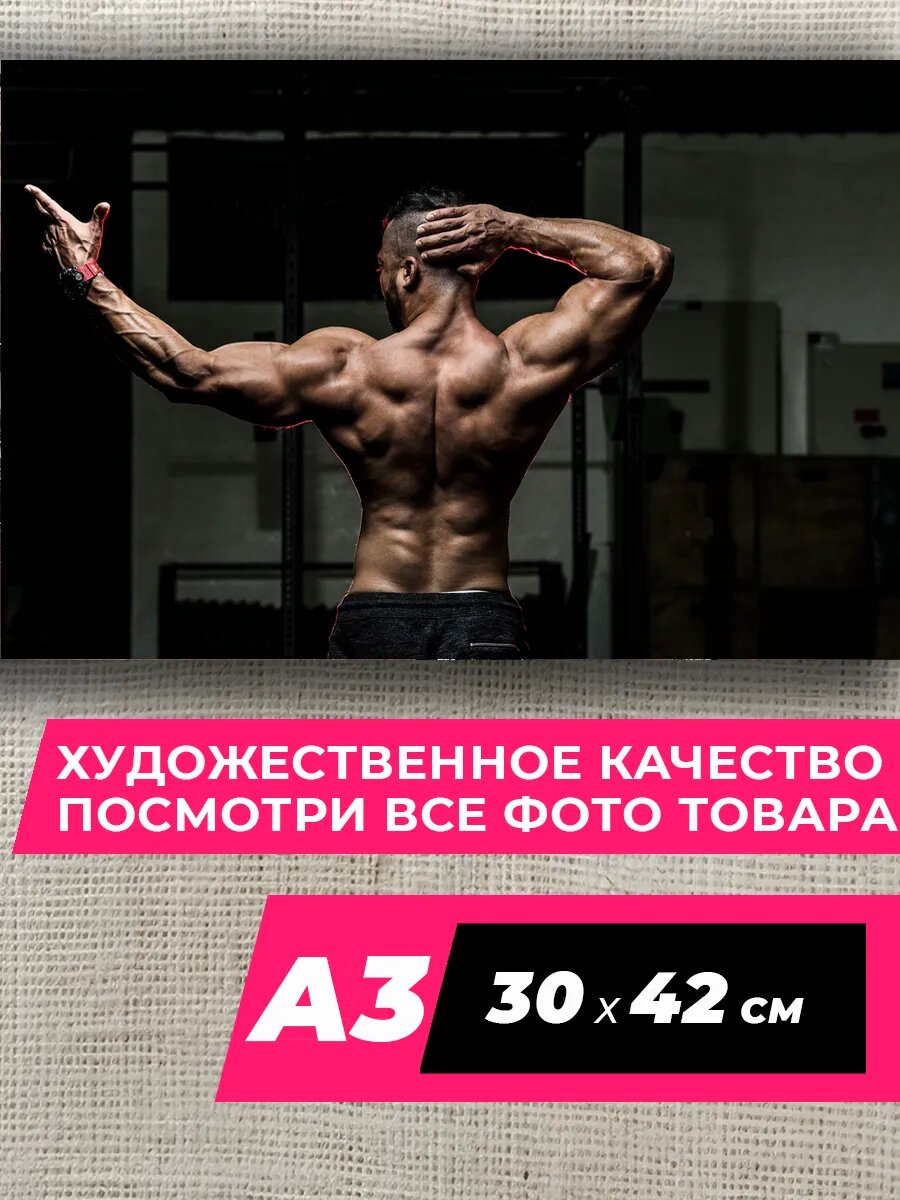 Постер бодибилдинг на стену 51 размер A3, матовая фотобумага премиум качества