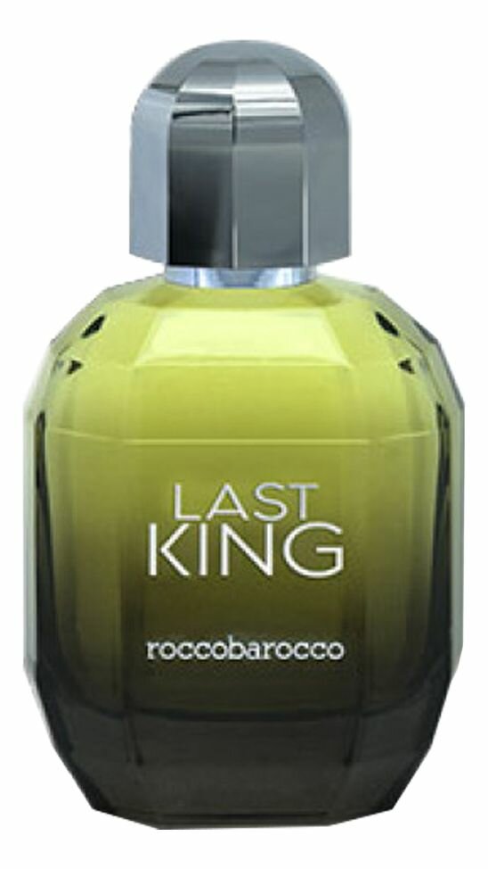 Roccobarocco Last King Туалетная вода для мужчин 100 ml