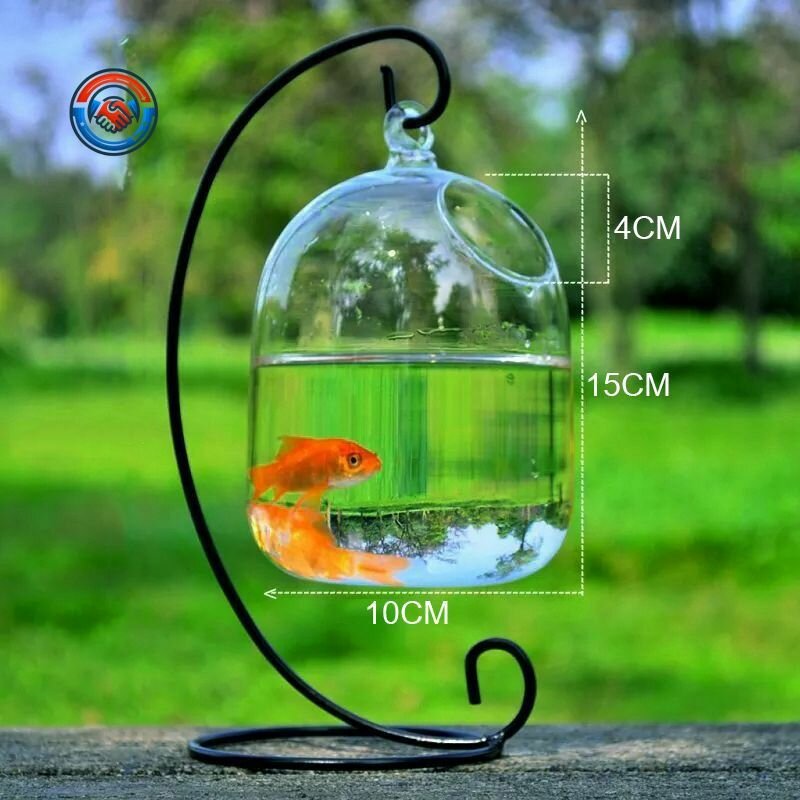 Прозрачная подвесная стеклянная ваза для аквариума, кормления рыбок и черепашек, компактная боросиликатная чаша для зелёных растений, универсальный аквариумный набор для дома