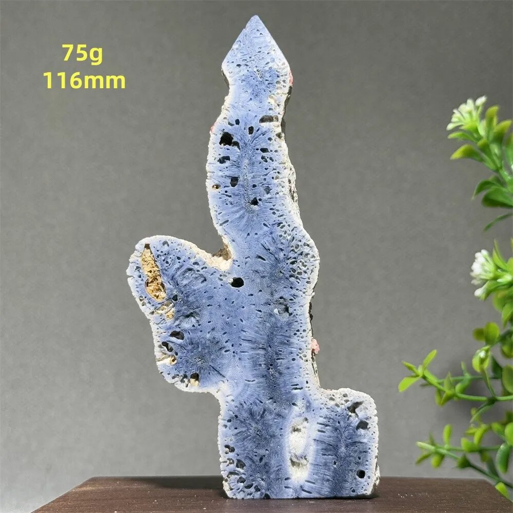 Синий коралловый минерал