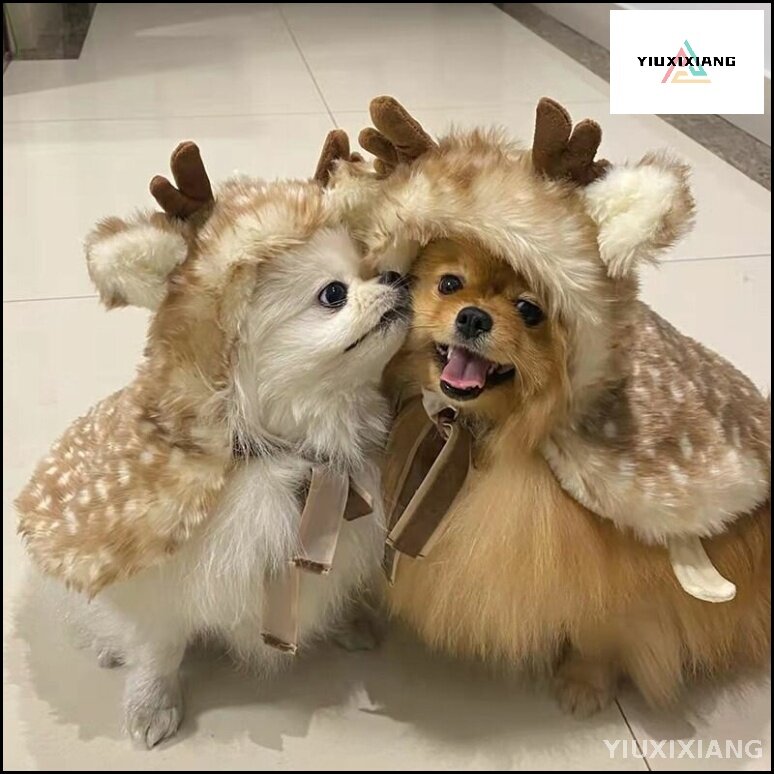 Эксклюзивный головной убор для миниатюрных питомцев
