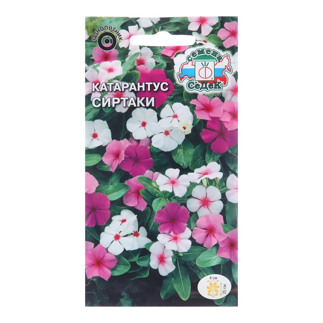 Семена цветов СеДек "Катарантус Сиртаки", низкорослые, теплолюбивые, для клумб и бордюров