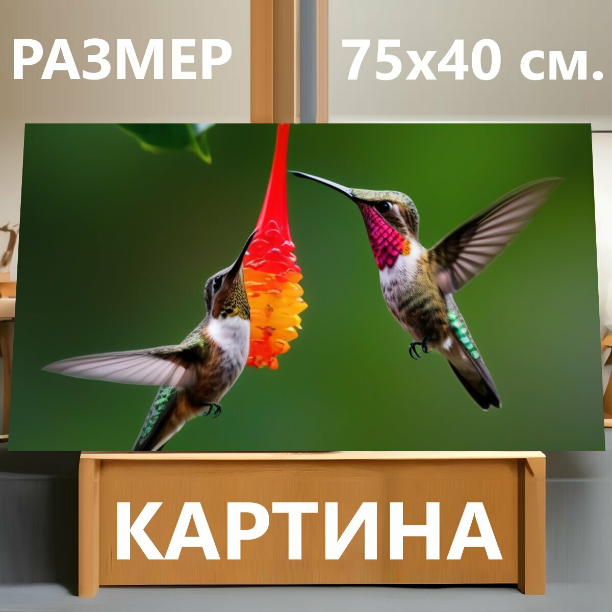 Картина на холсте "С необычным цветком колибри птицы" на подрамнике 75х40 см. для интерьера