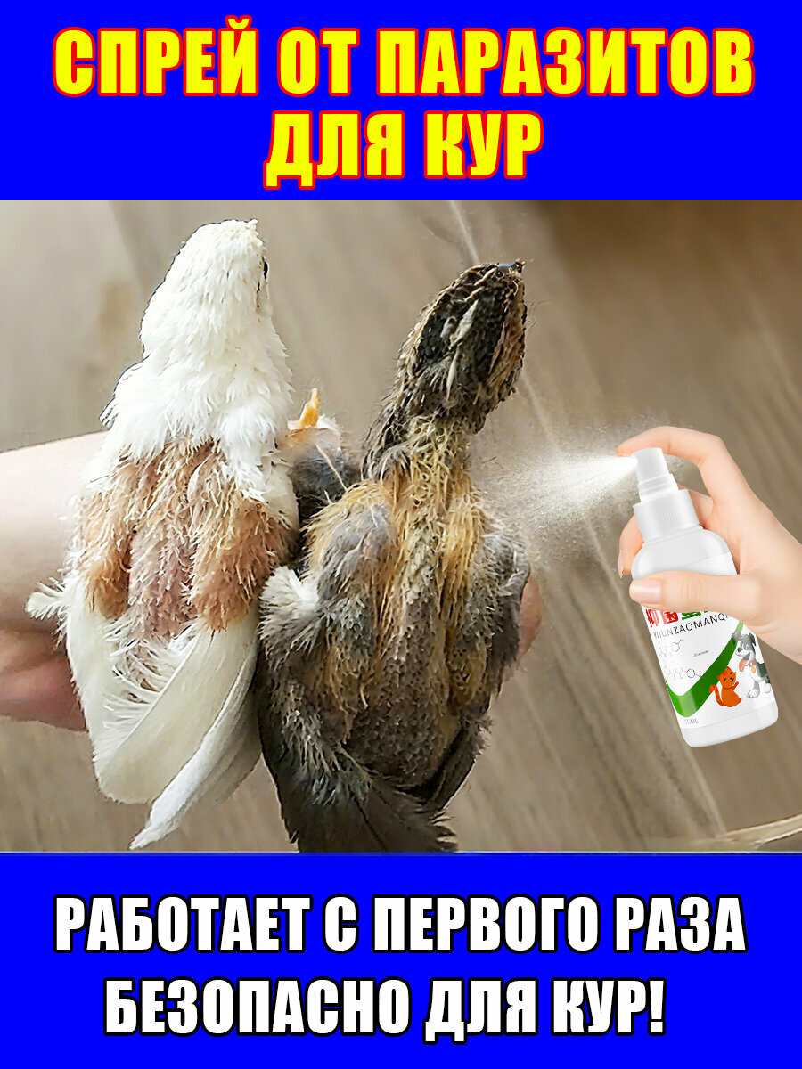 Спрей для кур от пероедов и блох