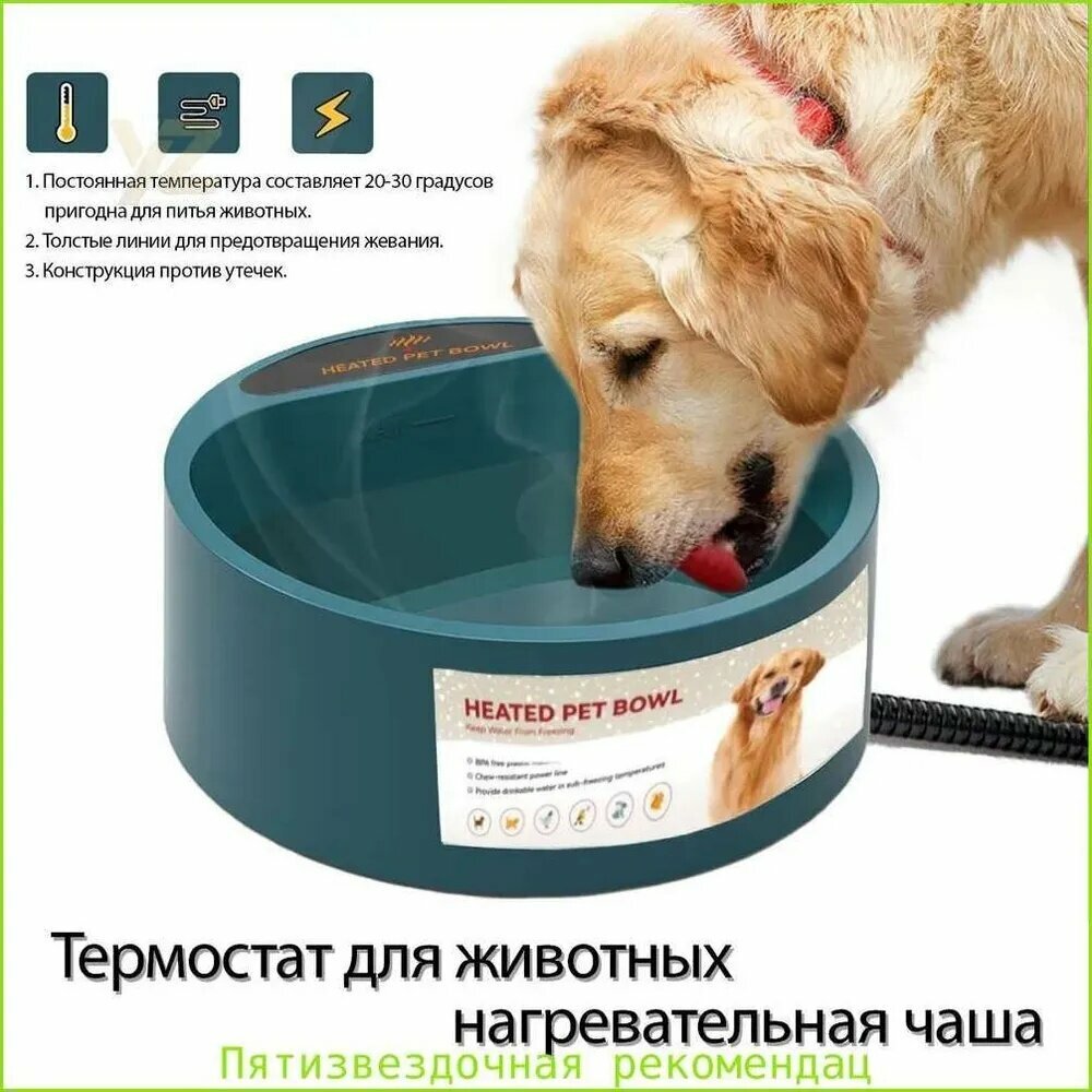 2024 Принадлежности для животных Чаша с подогревом постоянной температуры / Высококачественный импорт от британской королевской семьи