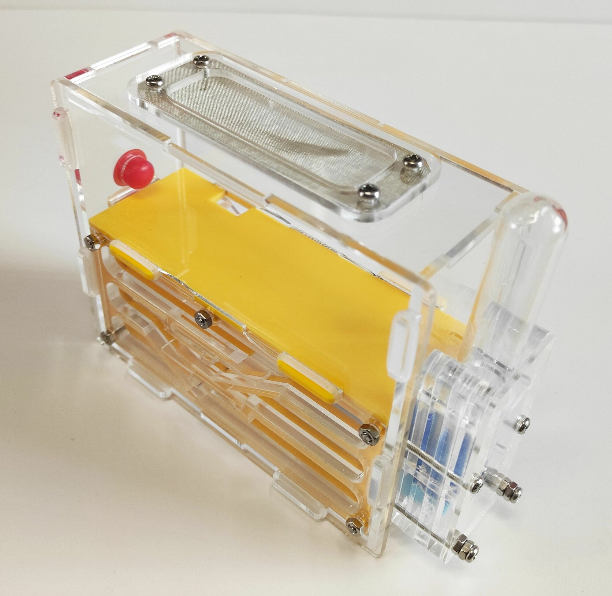 Муравьиные фермы Terra Town AntLife.r в собранном виде! + Антипобег + Подарок!