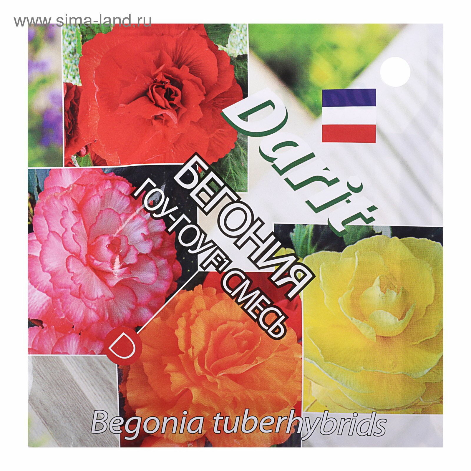 Семена цветов Бегония "Гоу-гоу", 6 шт, назначение: для создания букетов