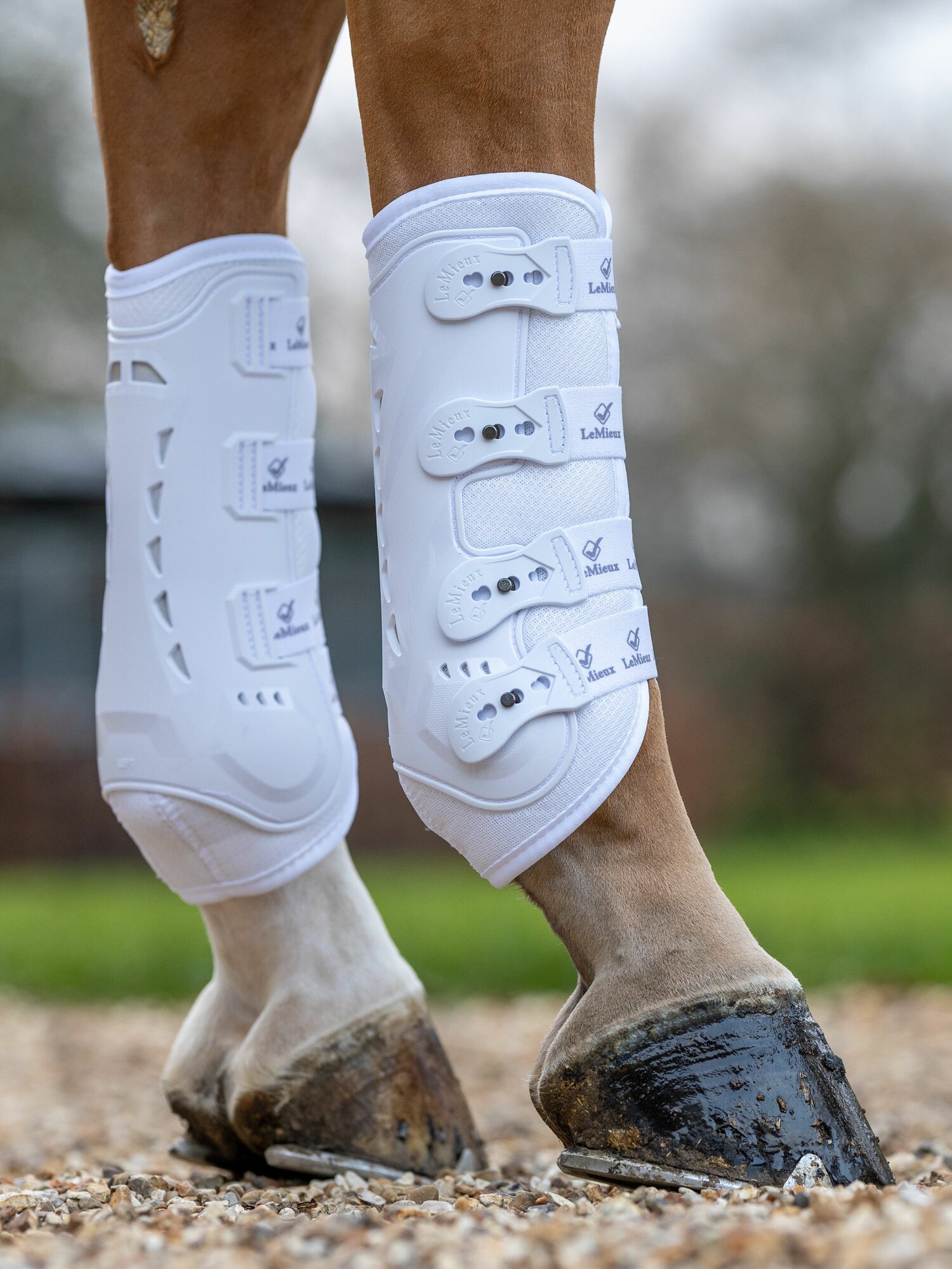 Ногавки выездковые задние LeMieux Ultra-Mesh Snug Boot, Белые COB ( М ) 2 шт