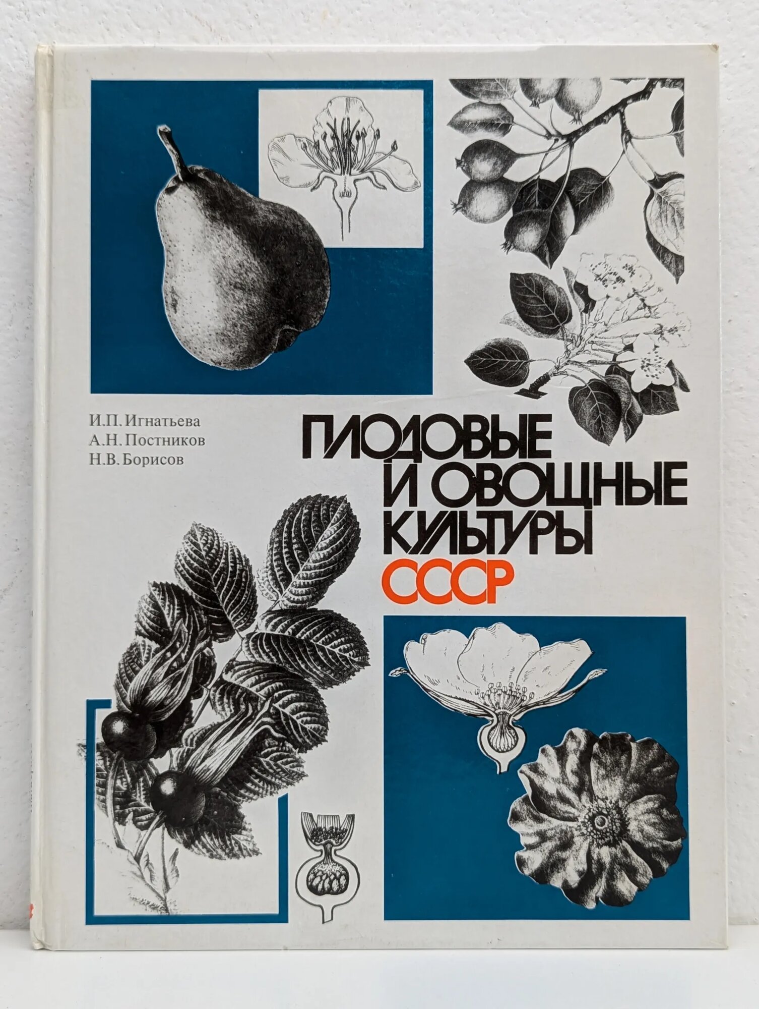 Плодовые и овощные культуры СССР Игнатьева Ирина Петровна, Постников Андрей Николаевич 1990