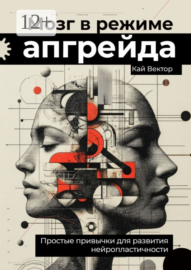 Мозг в режиме апгрейда. Простые привычки для развития нейропластичности.