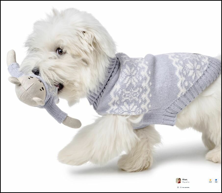 Бестселлер в виде плюшевого свитера hunter на четырех лапах