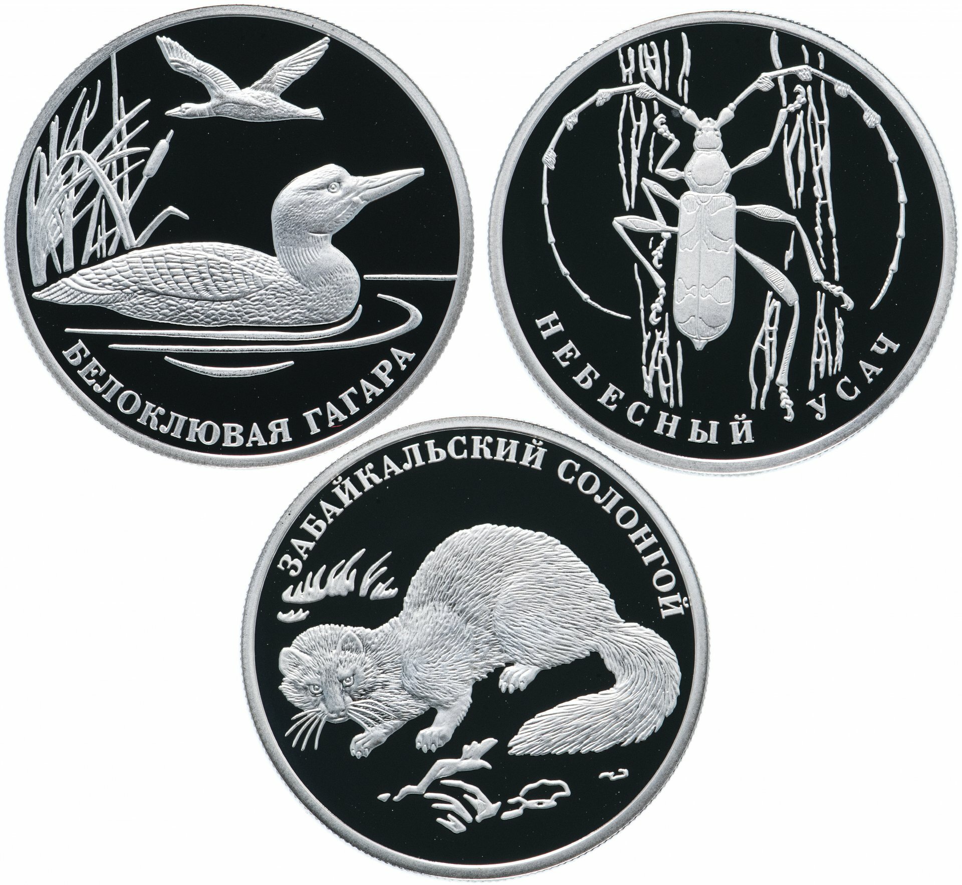 2 рубля 2012 ММД Proof "Красная книга - усач, гагара, солонгой" комплект 3 штуки, Серебро 925