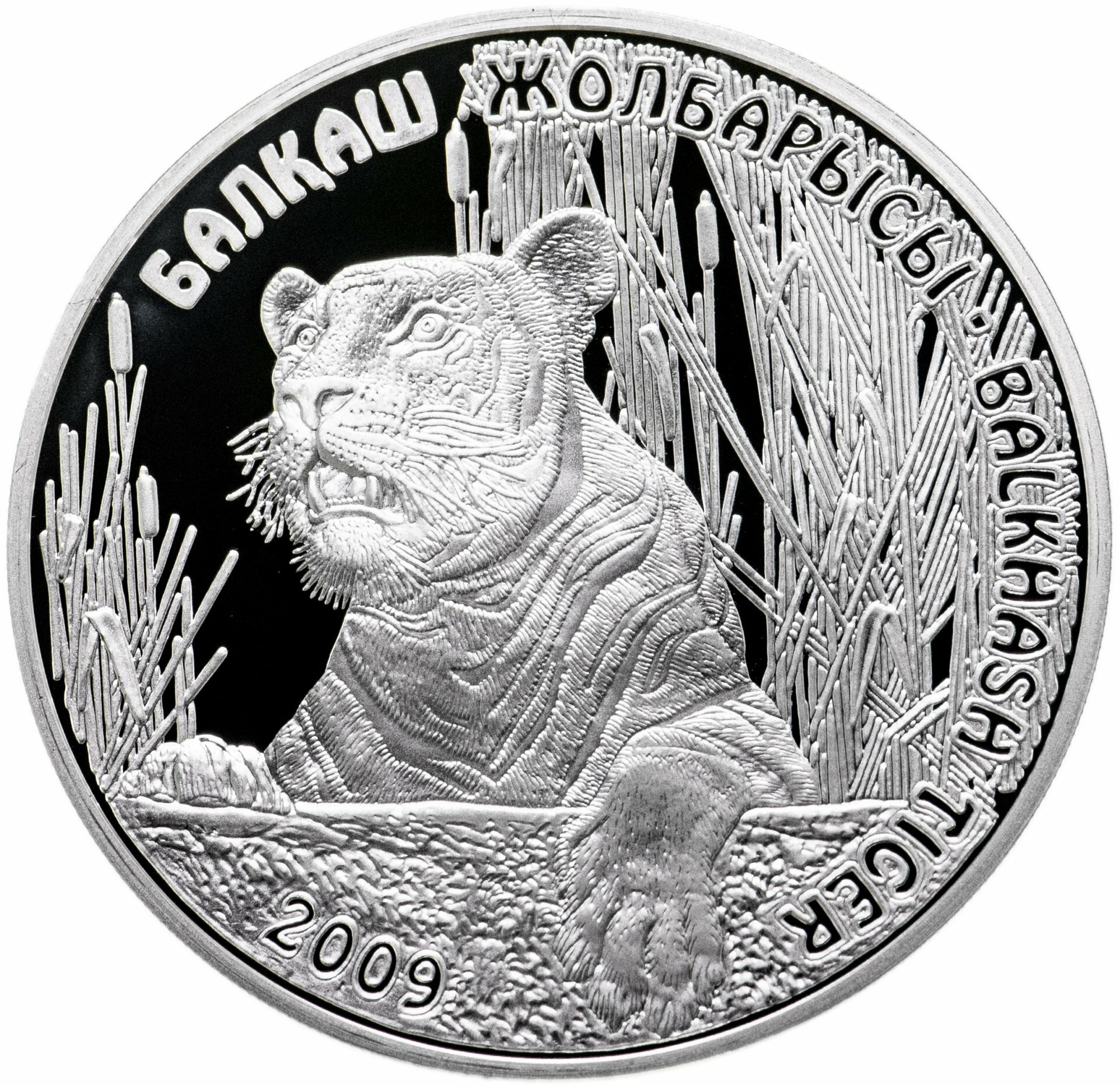 Казахстан 500 тенге 2009 Proof "Животные стран ЕврАзЭС - Балхашский тигр", Серебро 925