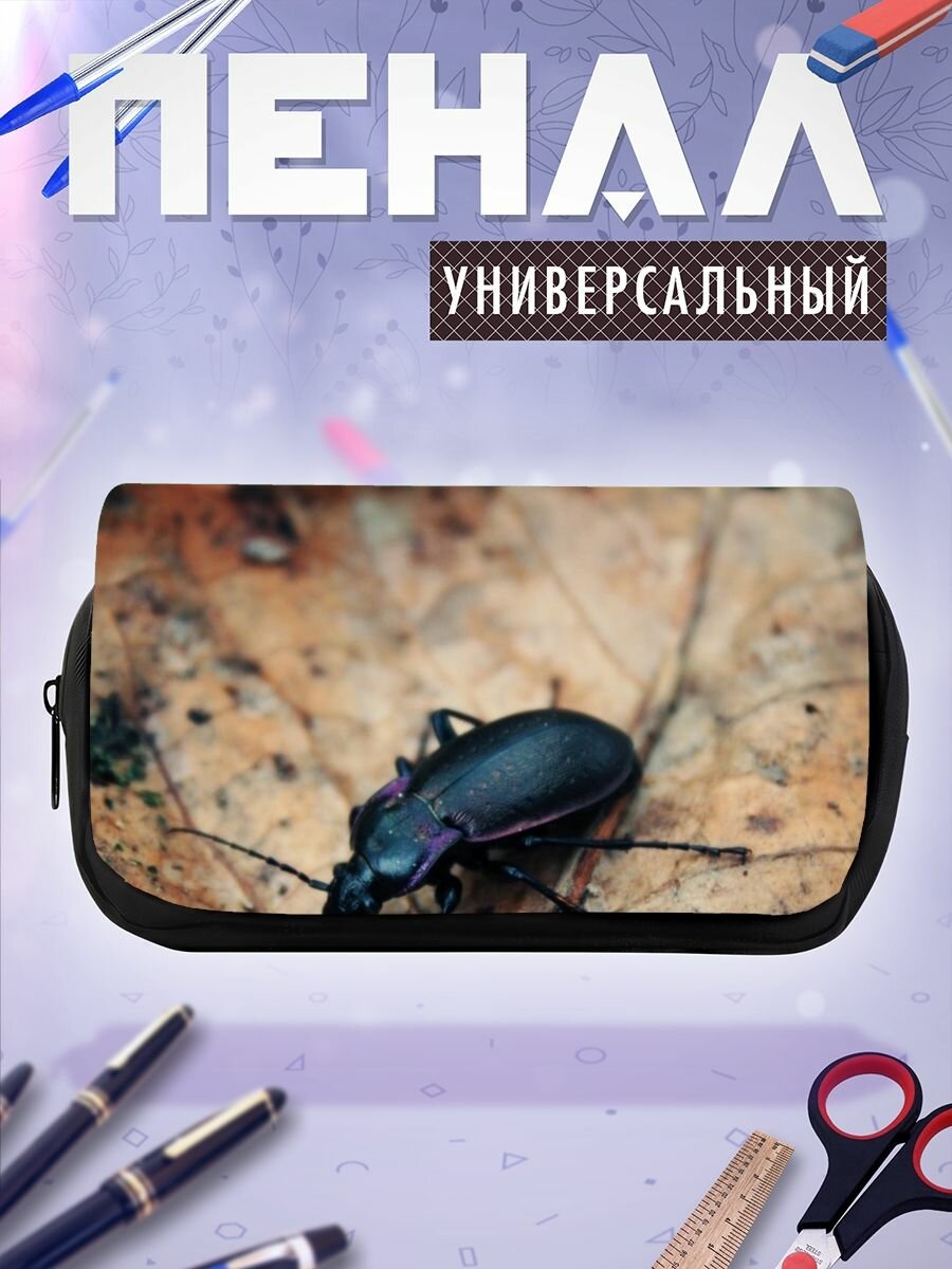 Школьный пенал насекомое членистоногое