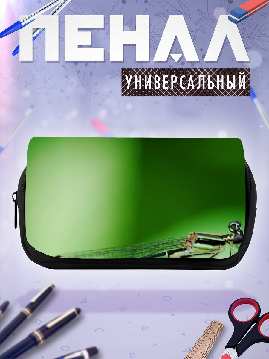 Школьный пенал насекомое Стрекоза