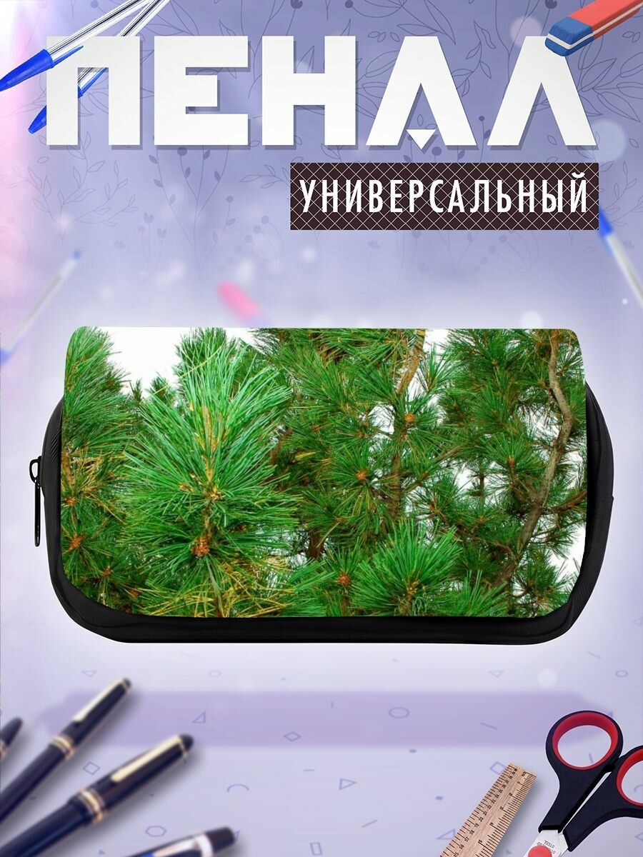 Школьный пенал ель сосна