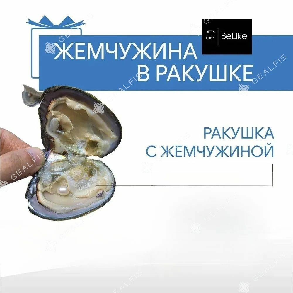 Подарок на 14 февраля, 8 марта Жемчужина желаний в ракушке, устрица в вакууме с жемчужиной внутри