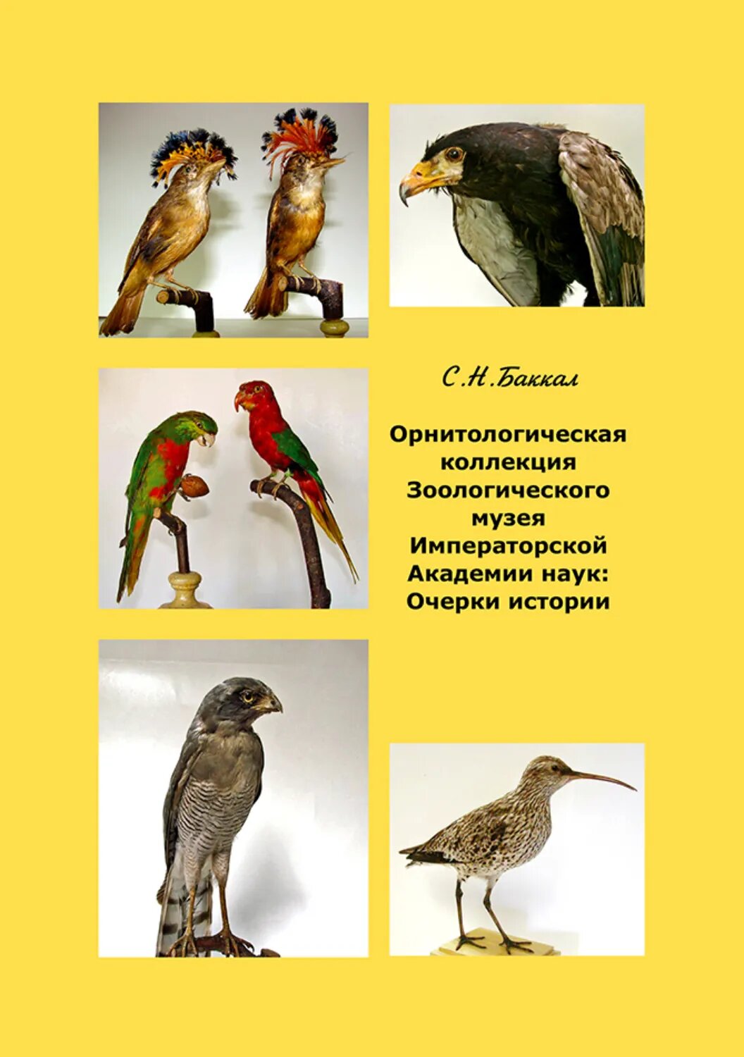 Орнитологическая коллекция Зоологического музея Императорской Академии наук. Очерки истории [Цифровая книга]