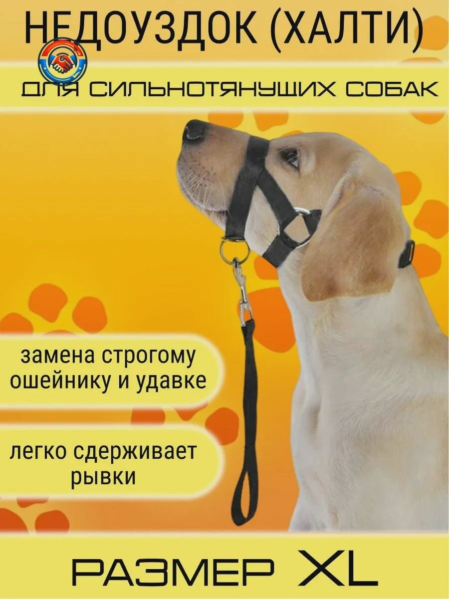 Намордник Халти 3-в-1 — корректор поведения и мягкий недоуздок-шлейка для прогулок, подходит от мопса до овчарки