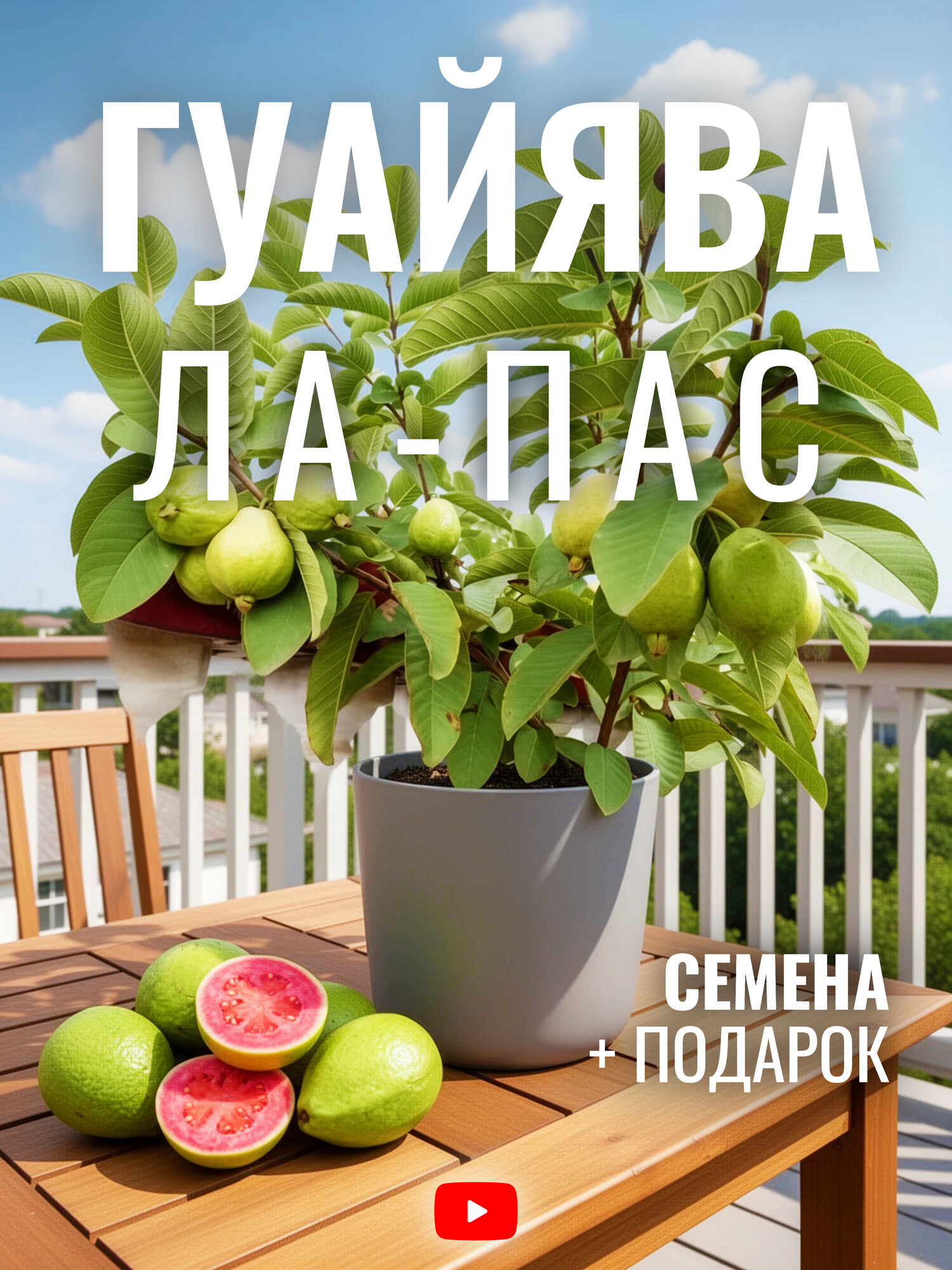 Гуайява Ла-Пас, Семена, 20 шт, семена экзотических растений, семена фруктов