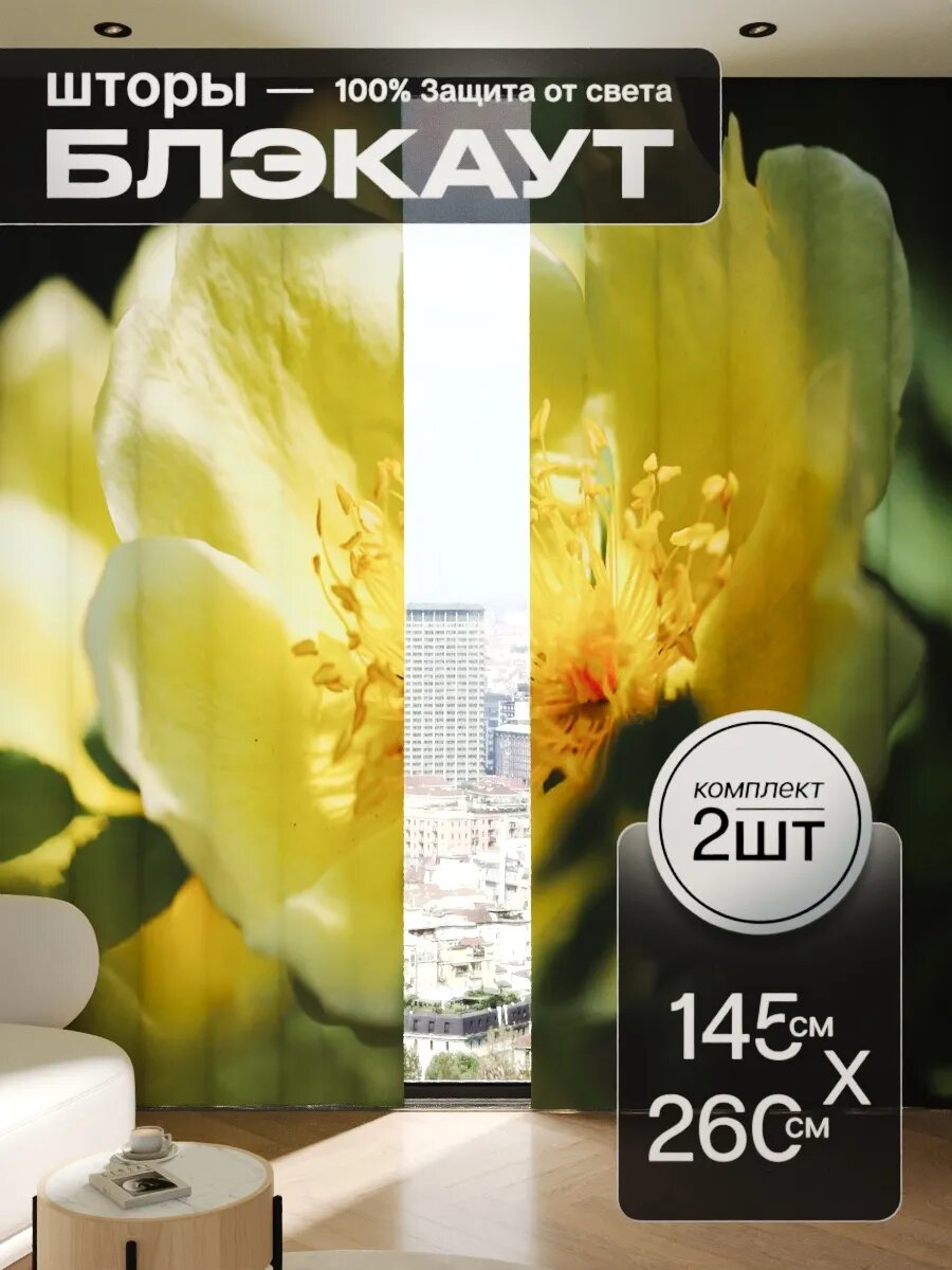 Шторы блэкаут 145x260 см 2 шт на окна плотные комплект