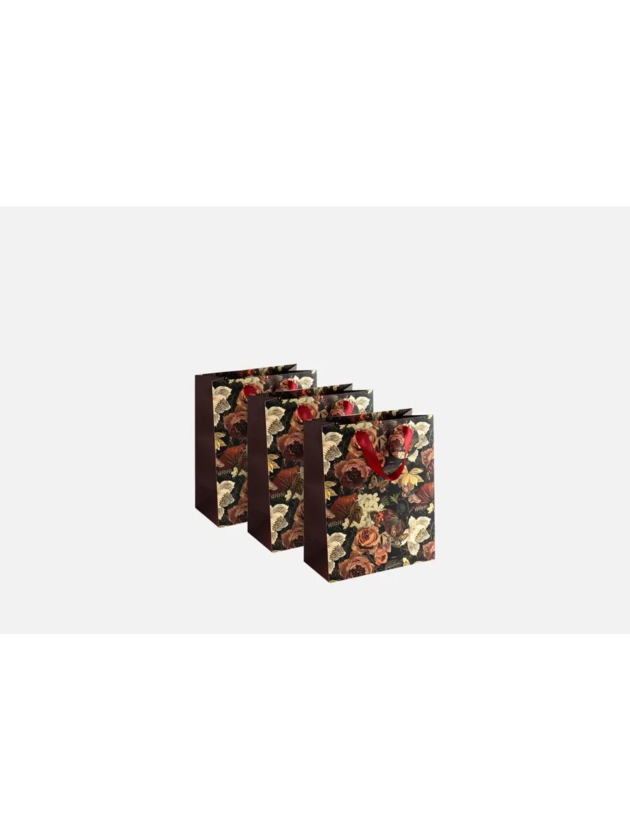 Bruno Visconti FLora, Lush Bouque, L Набор подарочных пакетов 3шт
