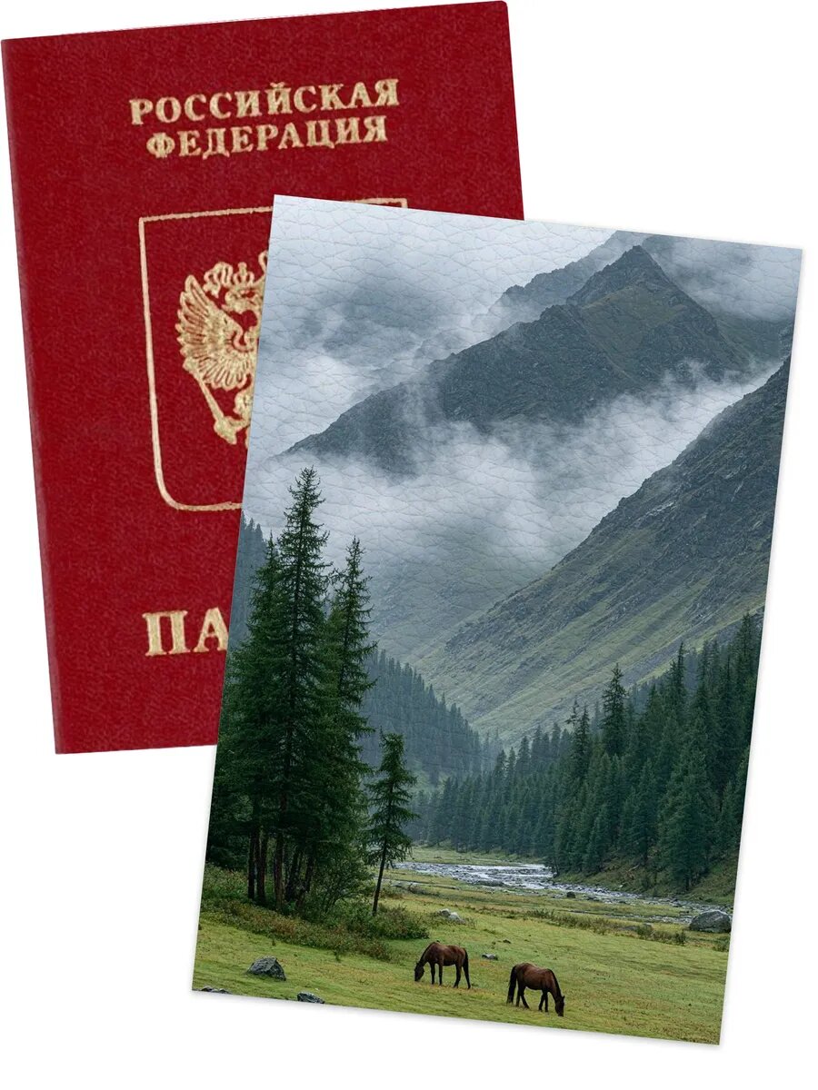 Обложка для паспорта