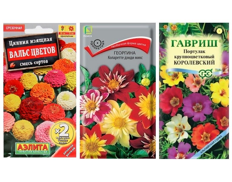 Набор семян Цветущий рай (Цинния Вальс цветов, Георгина Коларетте дэнди микс, Портулак Королевский)